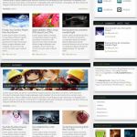 Euphoria WordPress Theme - MeThemes
