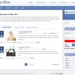 Plus One WordPress Theme - MeThemes
