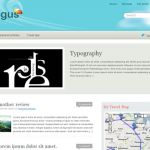 Blogus WordPress Theme - MeThemes