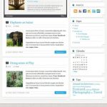 Create Soul Minimal WordPress Theme - MeThemes