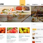 Delicious Magazine WordPress Theme - MeThemes