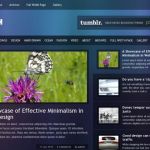 Depth WordPress Theme - MeThemes