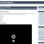 ExtizeMe WordPress Theme - MeThemes