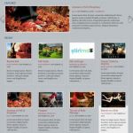 Impulse WordPress Theme - MeThemes