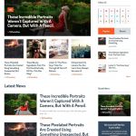 SocialNow WordPress Theme - MeThemes