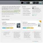 Next Element WordPress Theme - MeThemes