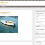 OrangeJuice WordPress Theme - MeThemes