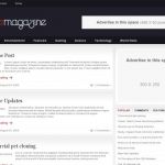SuperMagazine WordPress Theme - MeThemes