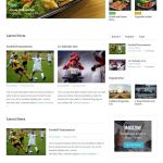 LiveMagazine WordPress Theme - MeThemes