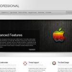 TheProfessional WordPress Theme - MeThemes